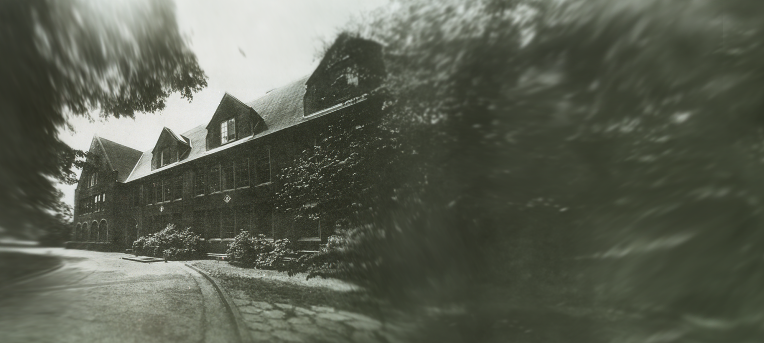 A Half-Century of Creativity: Celebrating 50 Years of the Cornish ...